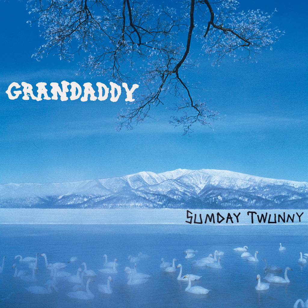 GRANDADDY - Sumday (Vinyle) – Le Vacarme