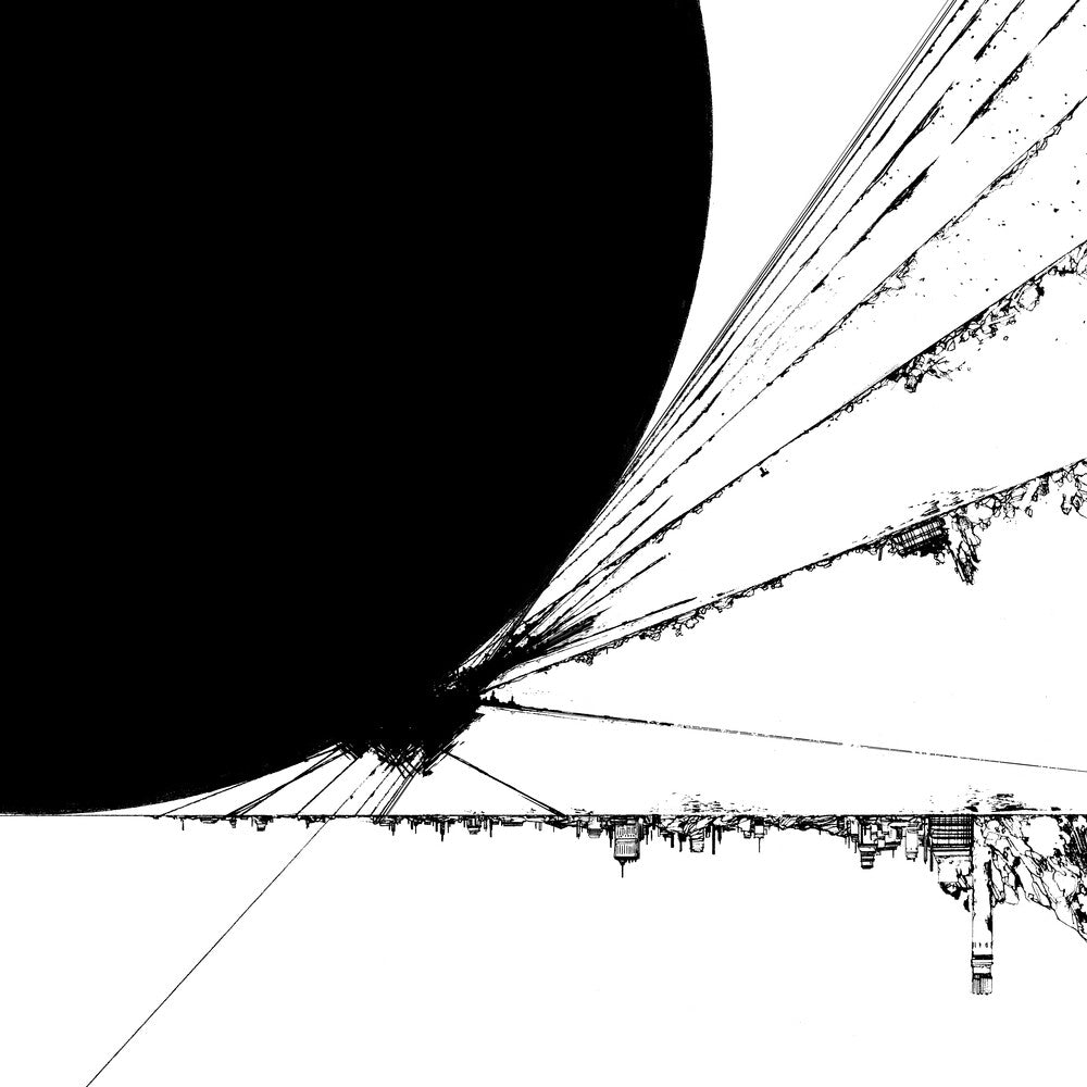 BEN SHEMIE - Desiderata (Vinyle) – Le Vacarme