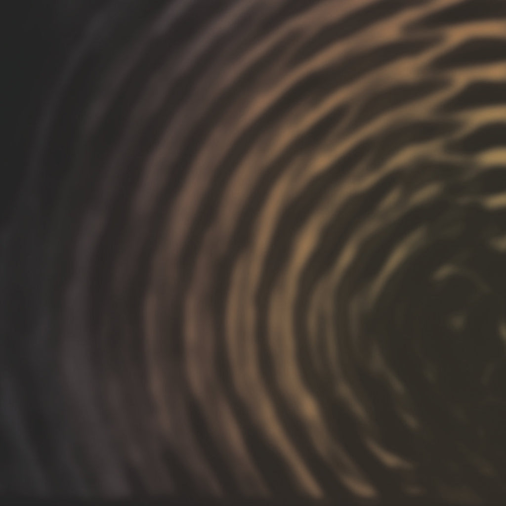 JAKE BELLOWS - New Ocean (Vinyle) – Le Vacarme